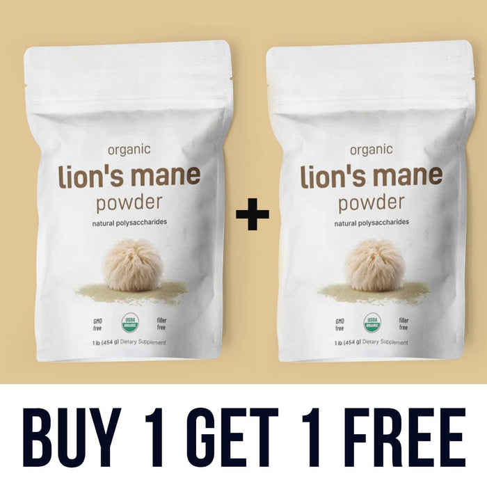 Organic Lions Mane Mushroom Supplement Powder — O&H